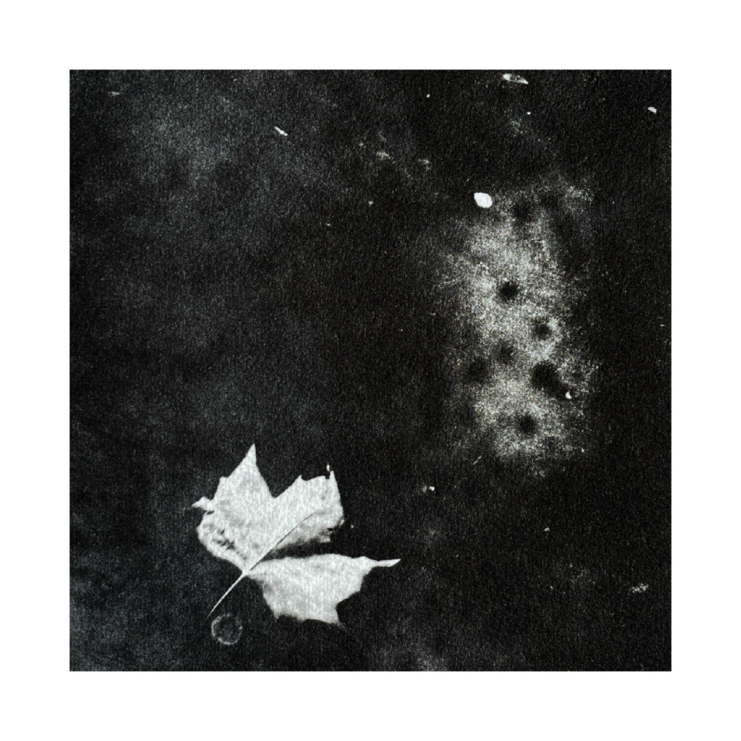 Tim Jones Artist – Tim Jones Artist